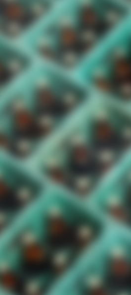 San Miguel Food and Beverage, Inc. | Home